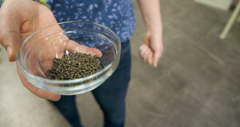 ford makes car parts from olive tree waste and biocomposites to reduce ...