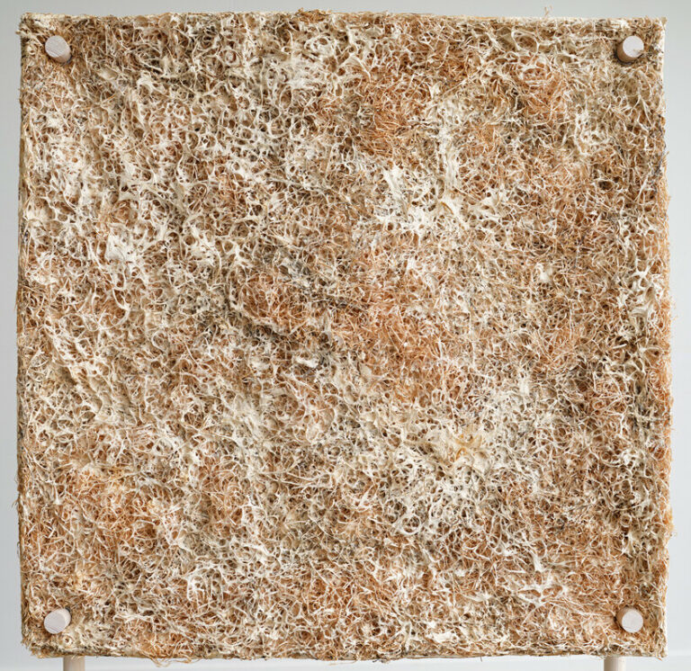 jonas edvard crafts sound-absorbing panel from mushroom mycelium, hemp ...