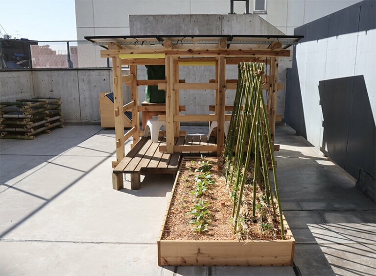 fuminori nousaku & mio tsuneyama's exhibition explores urban ecology at ...