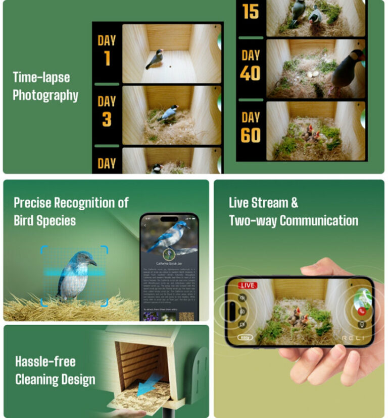 birddy: a smart birdhouse for our avian neighbors to nest & raise their ...