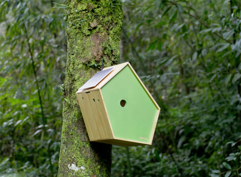 birddy: a smart birdhouse for our avian neighbors to nest & raise their ...