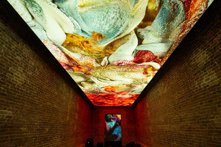 bloomberg connects serpentine guide: refik anadol's exhibition