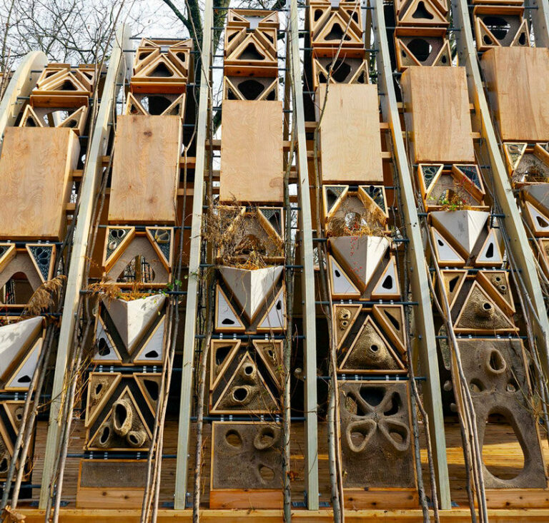 terreform ONE builds terrestrial reef-like structure for both humans ...