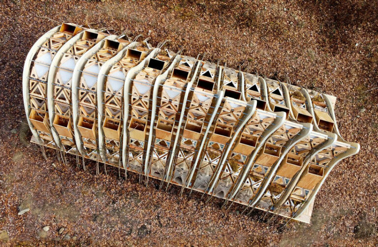 terreform ONE builds terrestrial reef-like structure for both humans ...