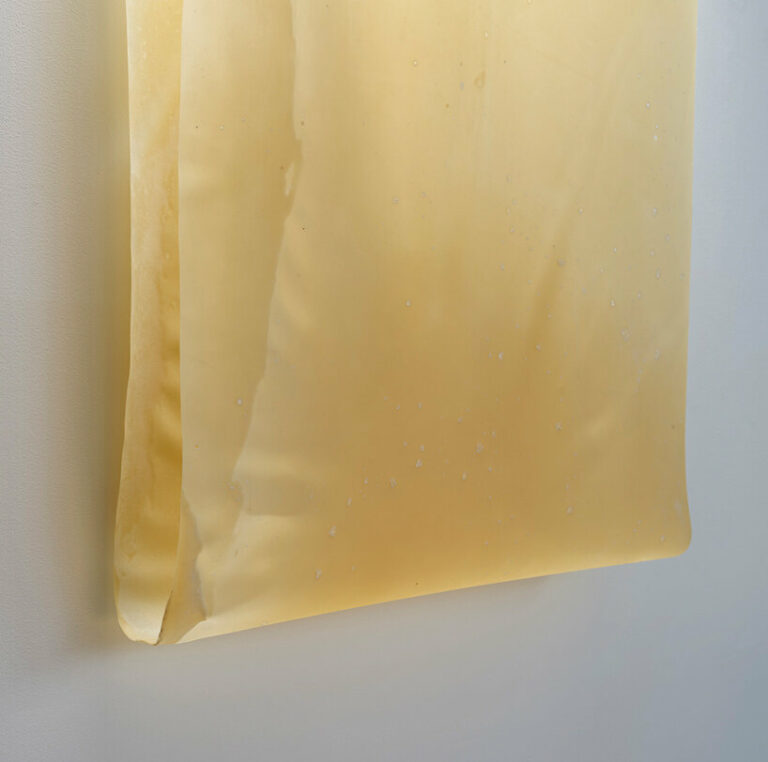 natural material studio explores light through bio-textile materials