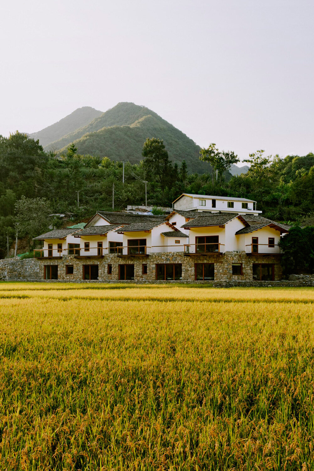 kooo architects embeds terraced pathways between hotel cottages in china