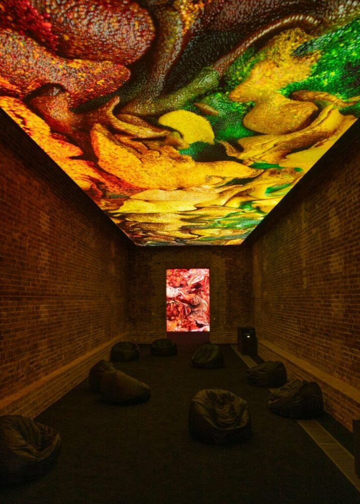 'this AI model will be the voice of nature': refik anadol on his ...