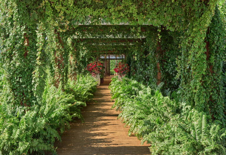 the riviera maya EDITION at kanai opens within a 620-acre nature ...