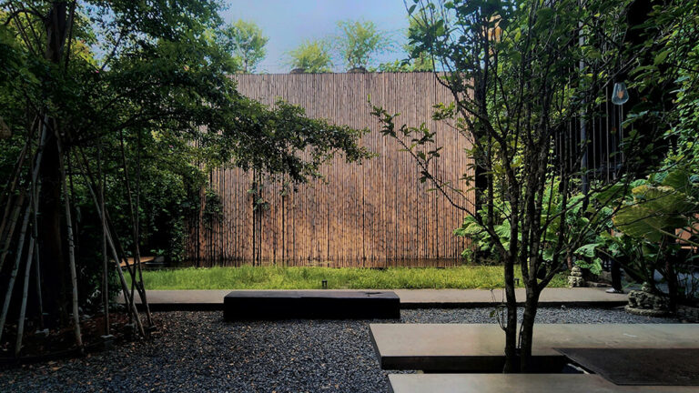 bamboo screens and climbing plants engulf 'the vibes' in vietnam