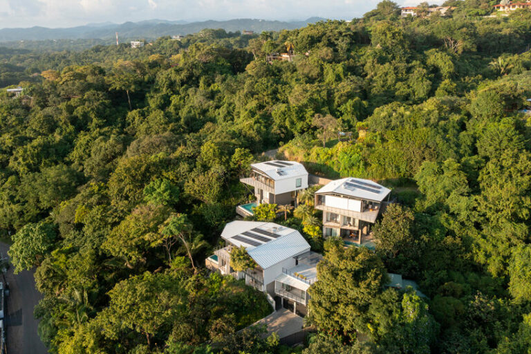 studio saxe perches sustainable villas among lush treetop jungle of ...