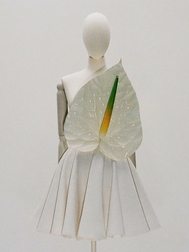 LOEWE honors spanish heritage with 'crafted world' show in shanghai