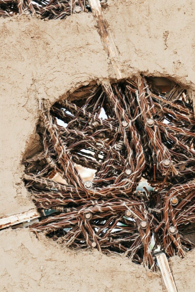 'regrow willow' poses hybrid earth construction system strengthened ...