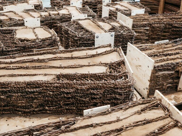 'regrow willow' poses hybrid earth construction system strengthened ...