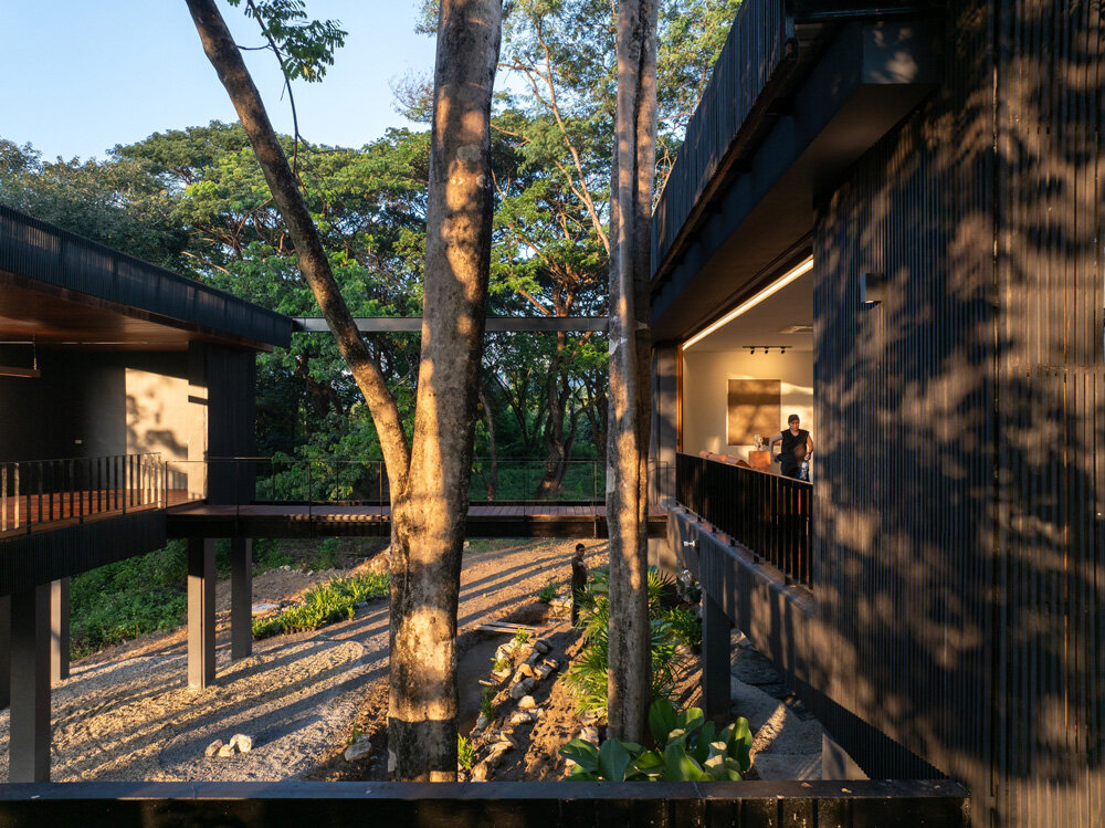 timber-clad residence settles on stilts within raintree forest in thailand