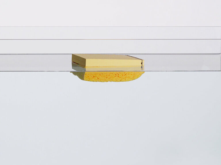 ECAL’s compressed furniture made from biodegradable sponge grows when ...