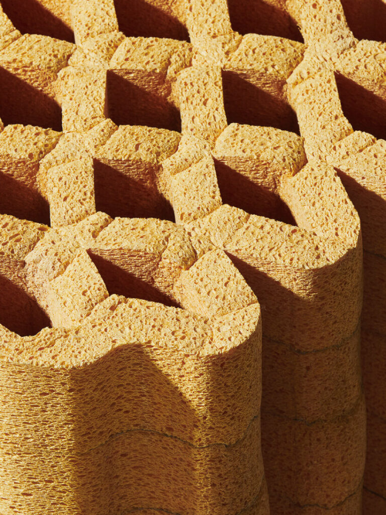 ECAL’s compressed furniture made from biodegradable sponge grows when ...