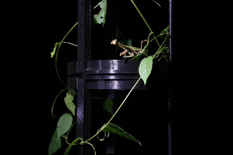 sabine marcelis’ 3D printed case made of recycled rock collects live ...