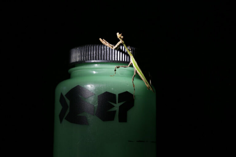 sabine marcelis’ 3D printed case made of recycled rock collects live ...