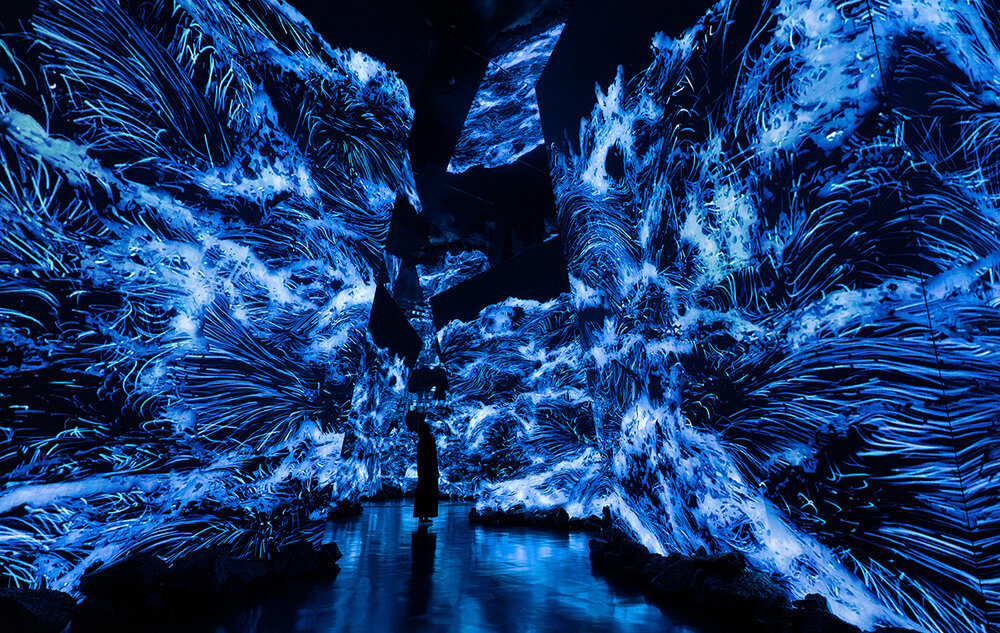 teamlab borderless jeddah set to open in the summer of 2024