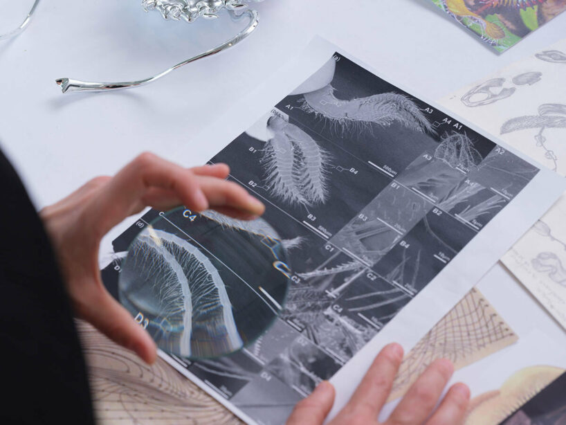 anastasia komar's hybrid artworks interwoven with sinuous biological ...