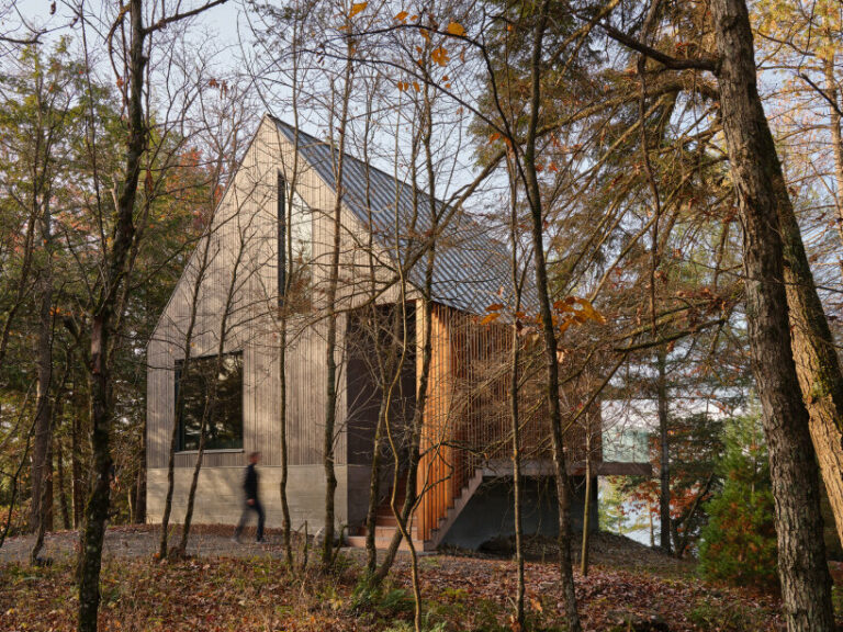 dubbeldam's cottage in canada woodlands unfolds across two split gables