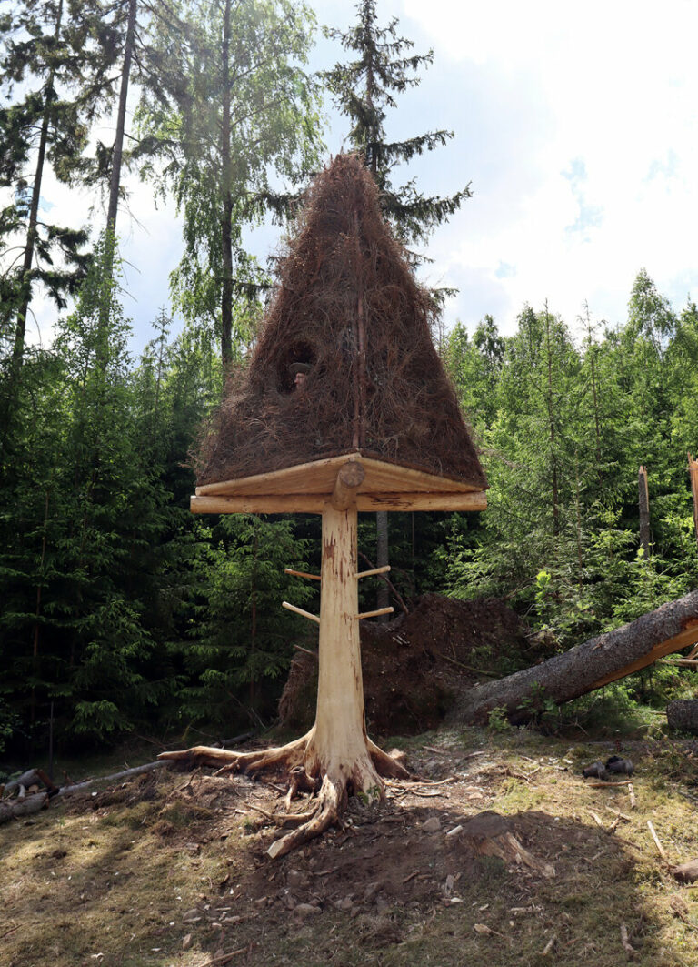 fallen tree roots form scenic forest lookout by ulf mejergren in sweden