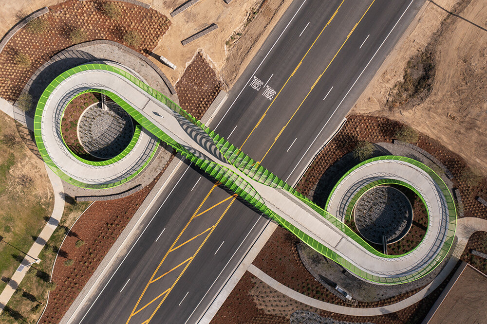 SPF:architects' wonder bridge in california echoes a lizard's tail