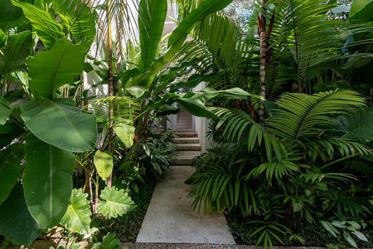 brazilian flora envelops community living project by laurent troost architectures