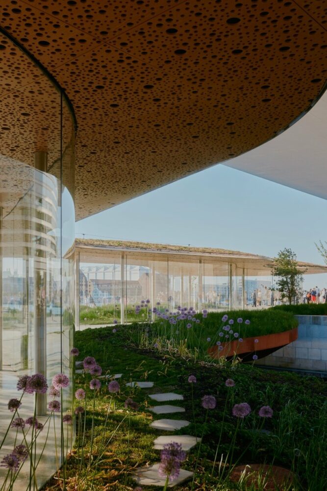 david altrath captures COBE's harborside oasis in copenhagen