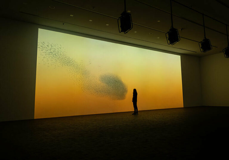 DRIFT brings immersive, interactive artworks and a drone performance to ...