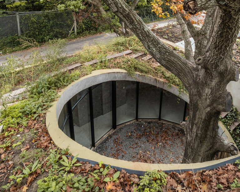 atelierM's grassy LuMa house encircles a century-old oak tree