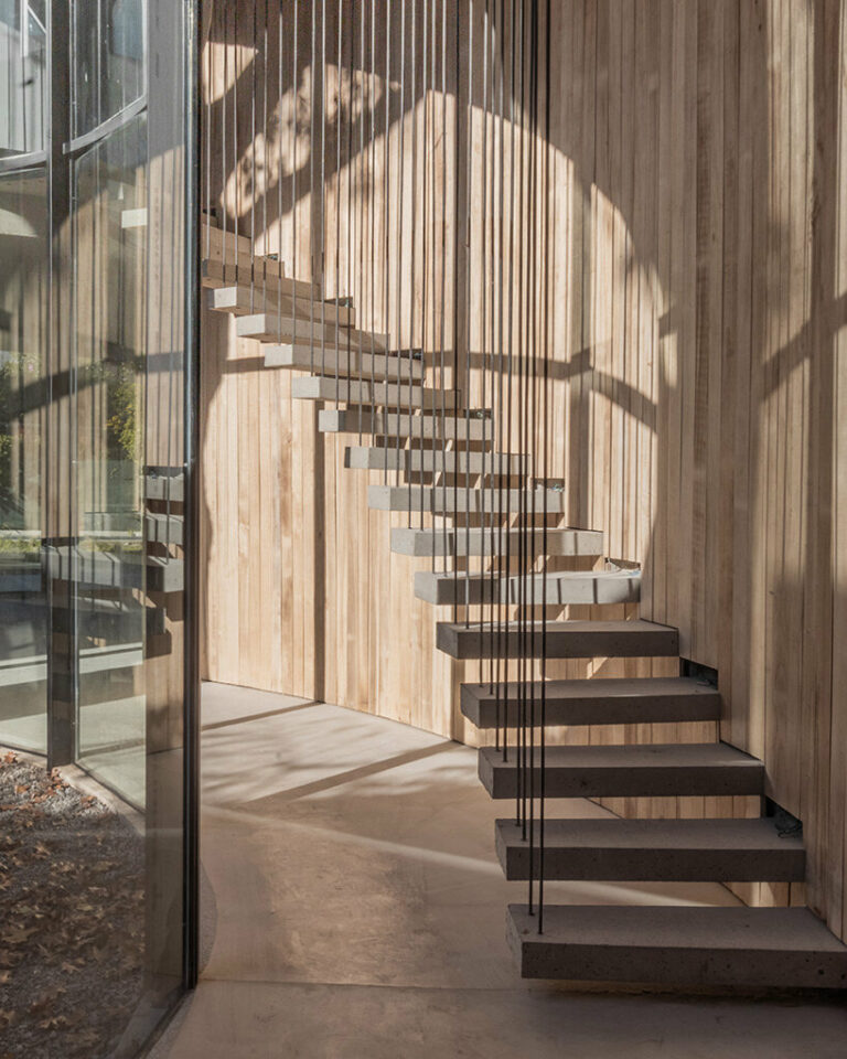 atelierM's grassy LuMa house encircles a century-old oak tree