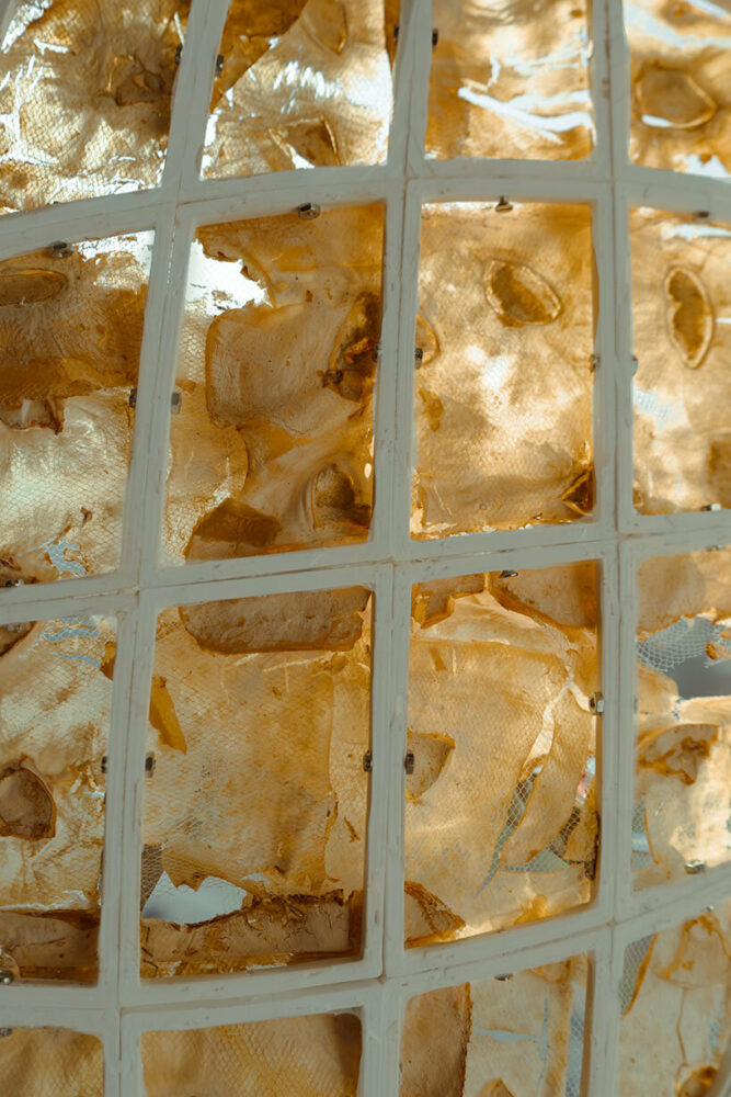 exploring potential of translucent mycelium in design and construction