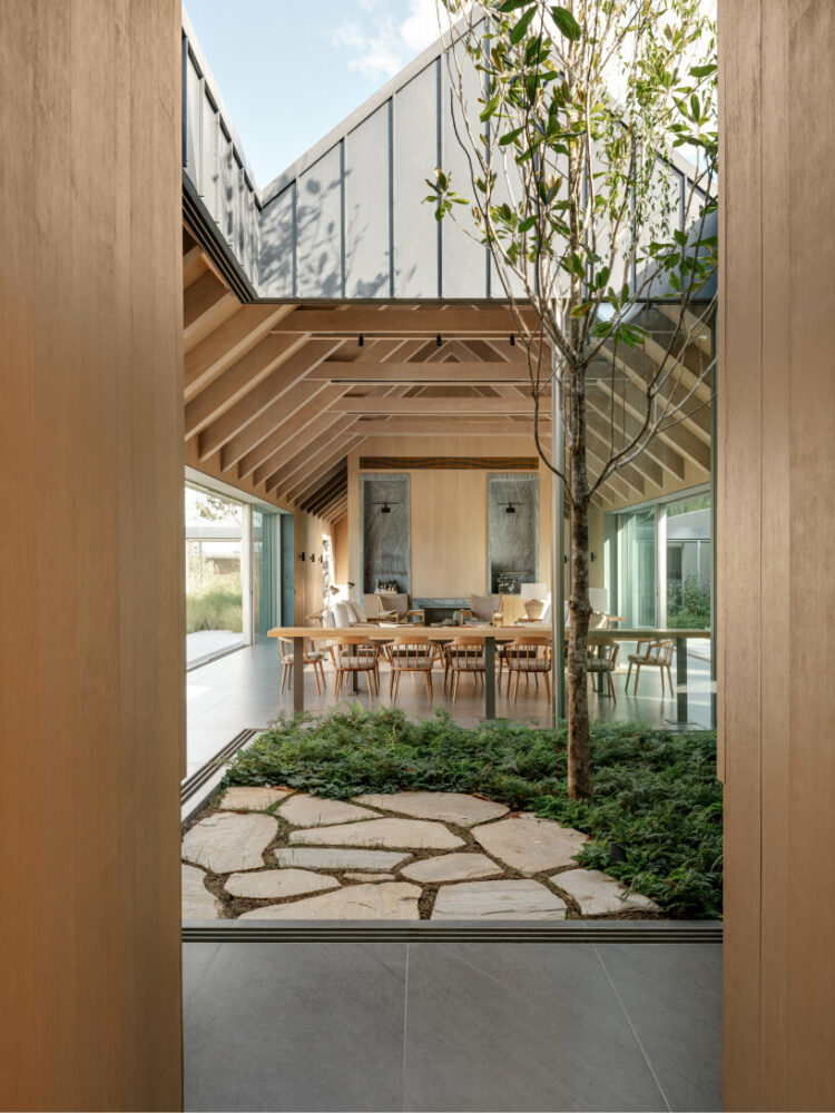 gable roof openings illuminate internal gardens within barn house in brazil
