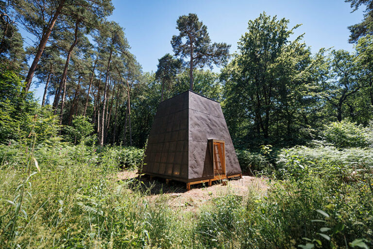 sculptural installations transform french forest into forêt monumentale ...