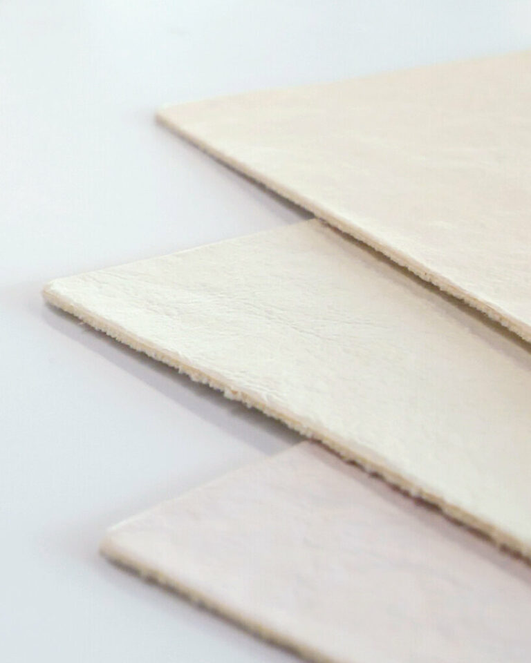 inside mycoworks’ mycelium for cadillac SOLLEI car, the bio-material ...