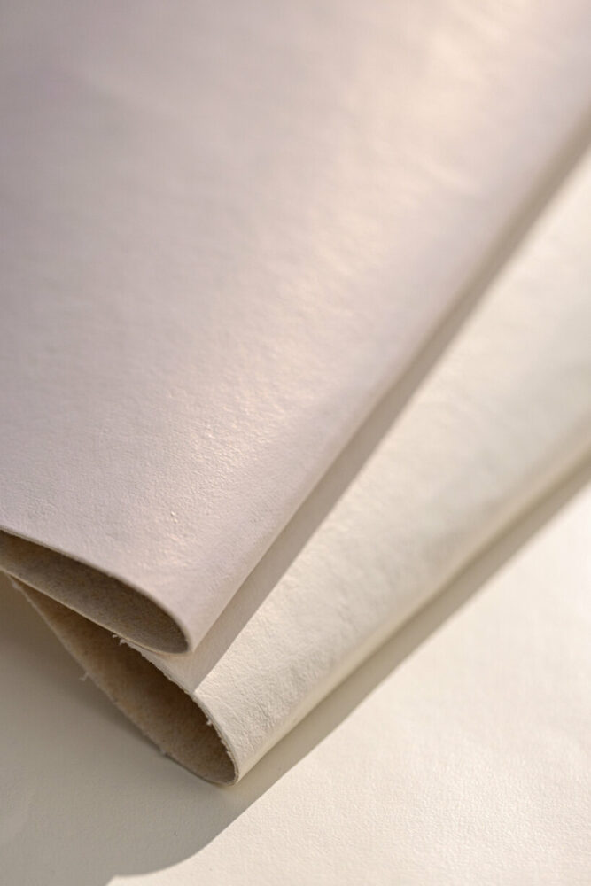 inside mycoworks’ mycelium for cadillac SOLLEI car, the bio-material ...