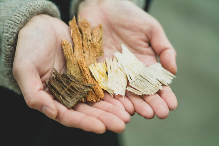 crayons made from recycled japanese trees and wood uncover different ...