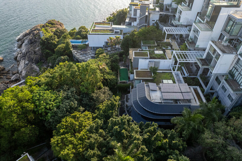 curvilinear solar roofs outline this positive energy house in shenzhen