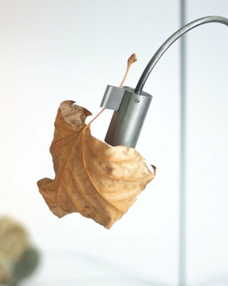 swappable rocks and leaves customize your nature-inspired lamp