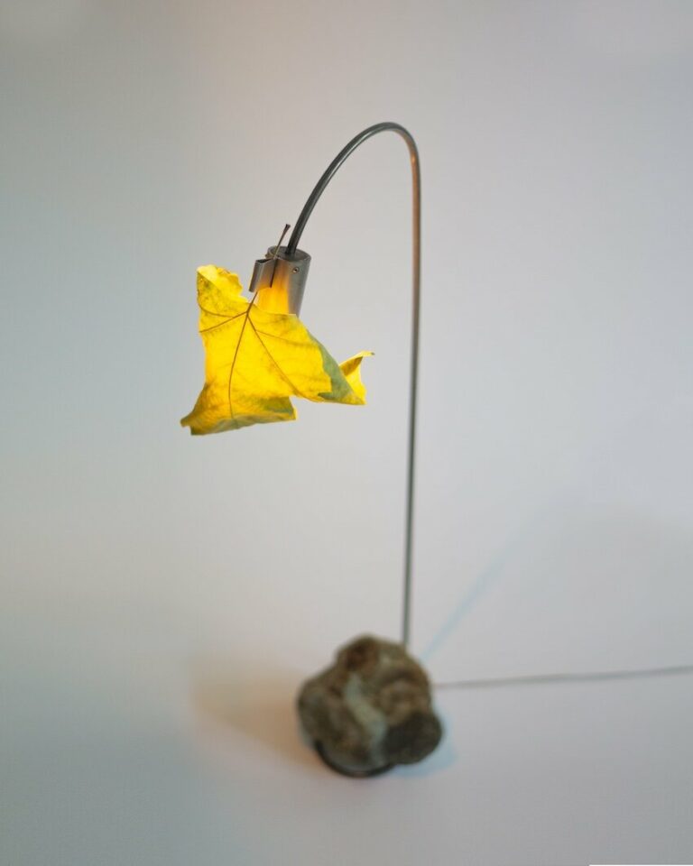 swappable rocks and leaves customize your nature-inspired lamp