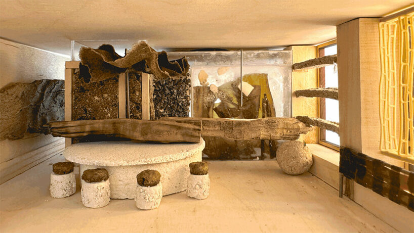 shreya dwivedi turns modern interiors into living ecoystems