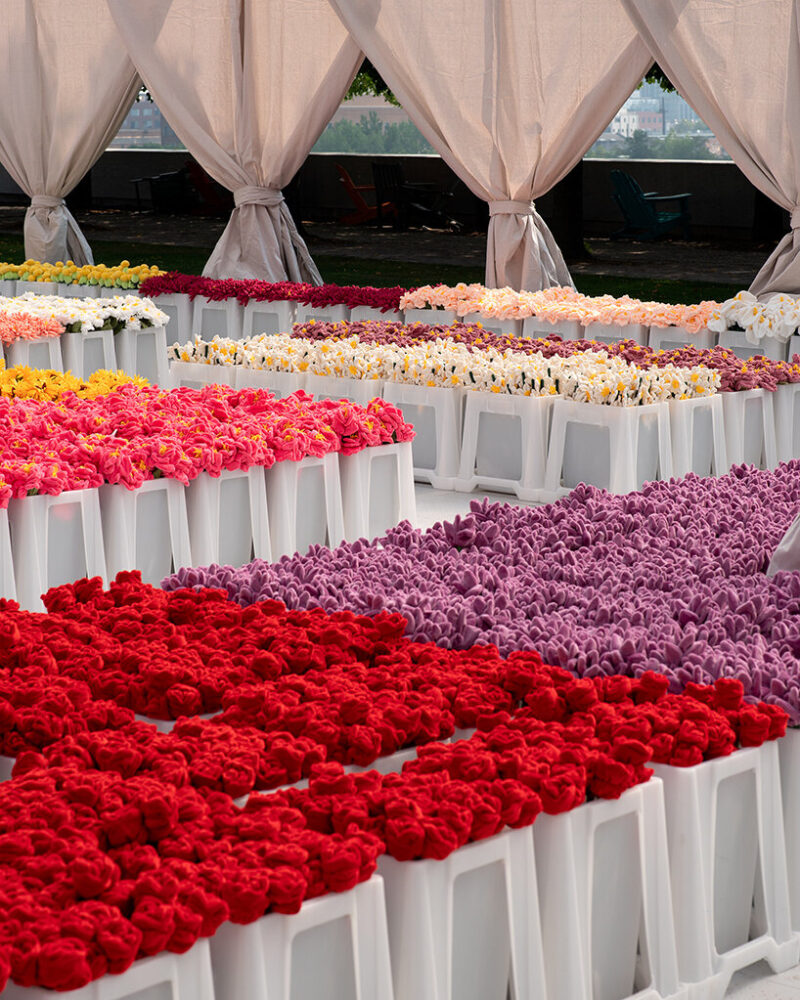 Cj hendry's plush flower market opens in NYC