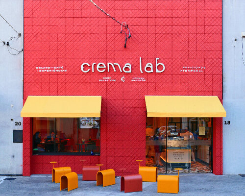 mycotech lab introduces sustainable sneakers made from mushroom mycelium