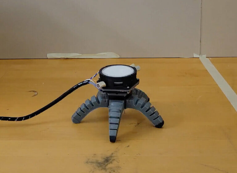 mycelium has electrical signals that can control biohybrid robots and ...