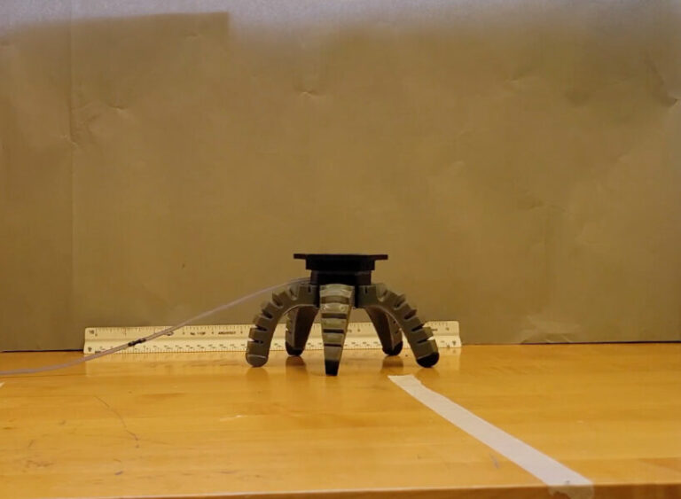 mycelium has electrical signals that can control biohybrid robots and ...