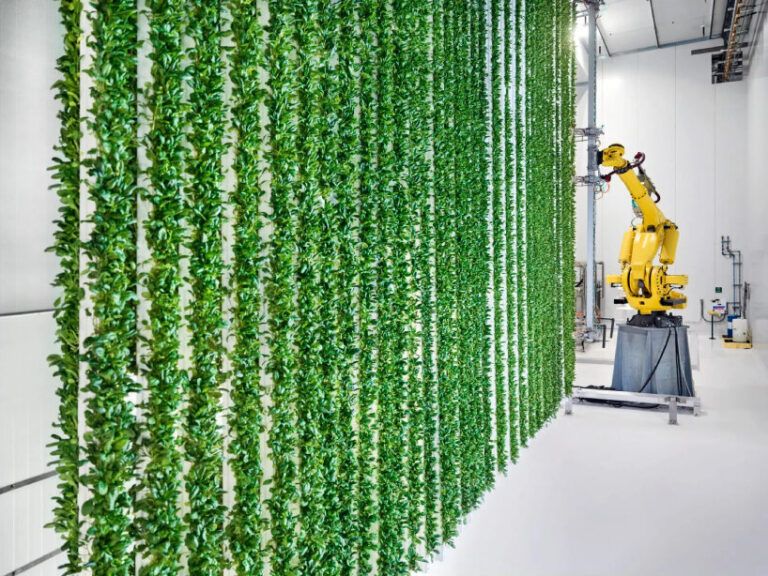 plenty opens world’s first vertical farm that uses AI to grow ...