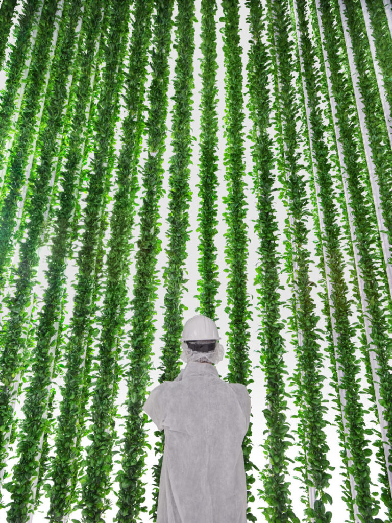 plenty opens world’s first vertical farm that uses AI to grow ...