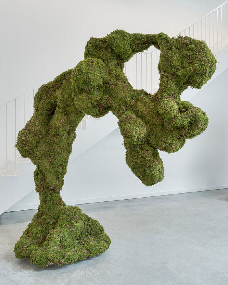 studio lilo molds moss like clay to create these botanical sculptures