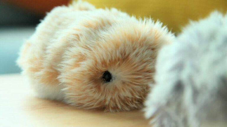 casio’s AI pet robot moflin gets emotionally attached with owners everytime they cuddle it